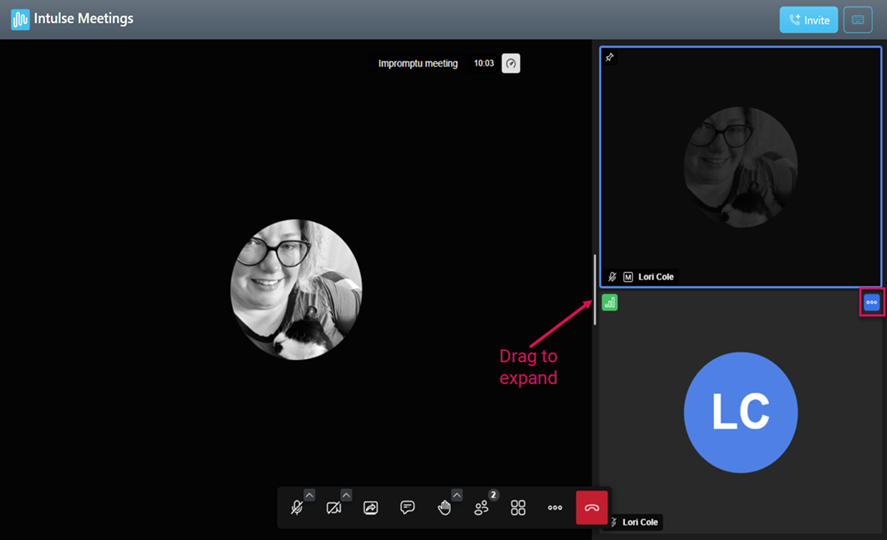 Managing Participants | Intulse Support